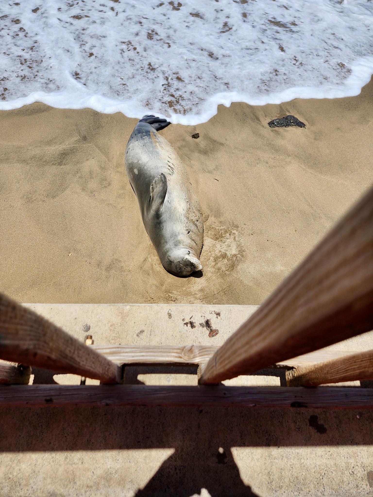 Removal of pilings complete: Lahaina debris cleanup brings hope | News ...